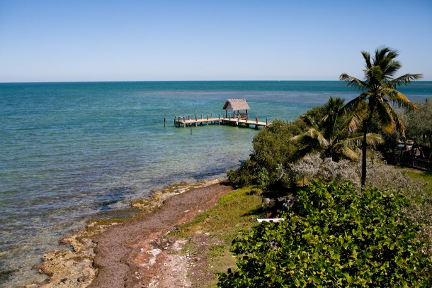 Seven Mile Bridge & Pigeon Key - Map & Menu